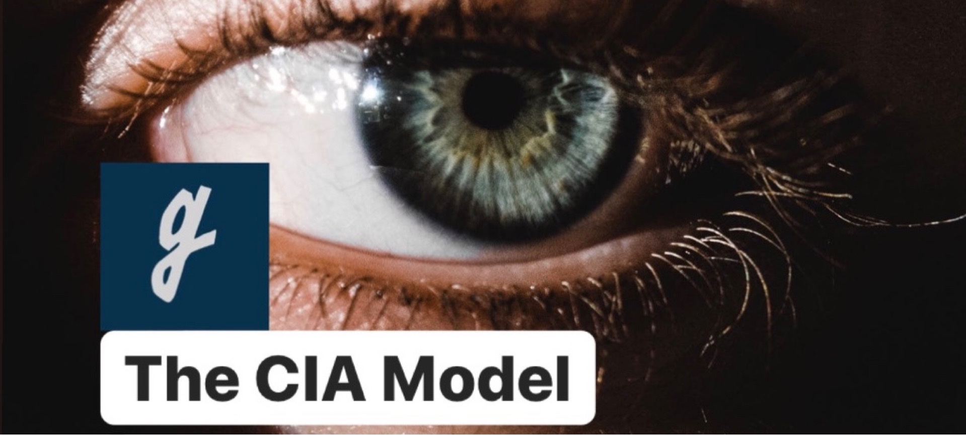 YouTube – CIA Model – Gary Shaw Life